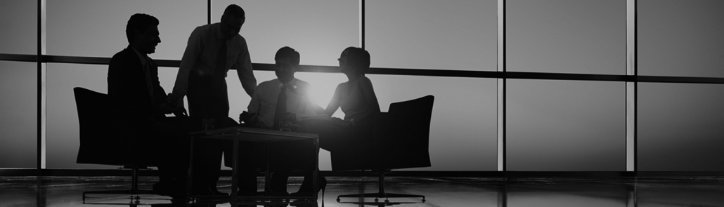 LEVEL verksamhetsbeskrivning - LEVEL